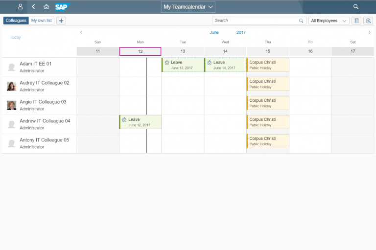 Fiori Teamkalender: Monatliche Übersicht | iProCon